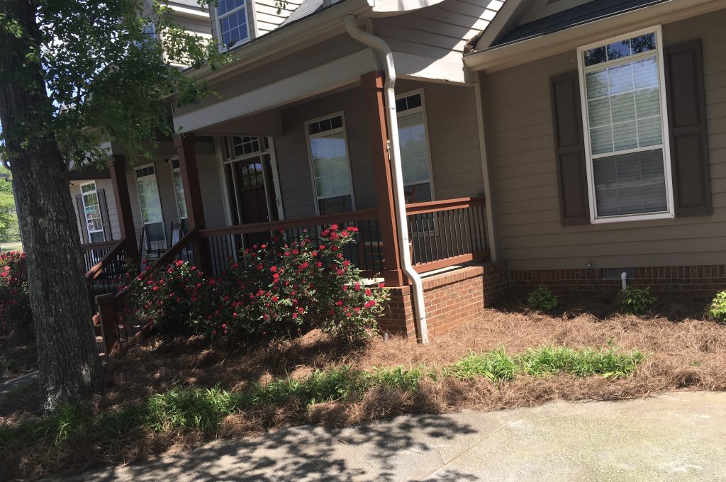 Landscaping – Kelly Landscapes Management